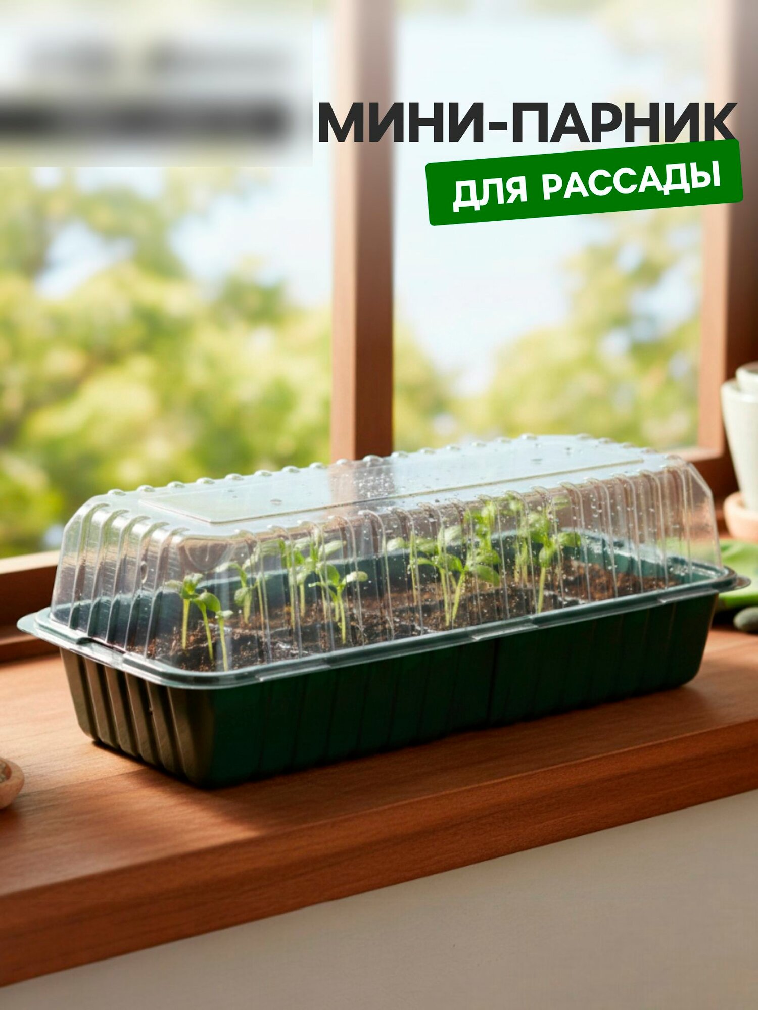 Набор Мини - парников для рассады, 39 х 17.5 х 12 см, без вставок, тёмно-зелёный, пластик, 5 шт.
