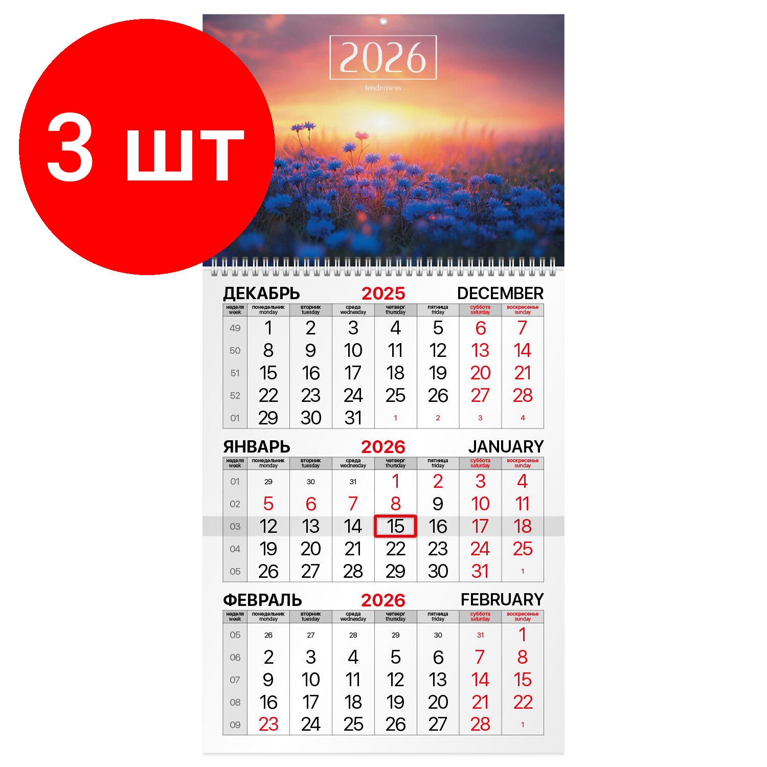 Комплект 3 шт, Календарь квартальный на 2026 г, 1 блок, 1 гребень, бегунок, мелованная бумага, BRAUBERG, "Васильковый луг", 116751