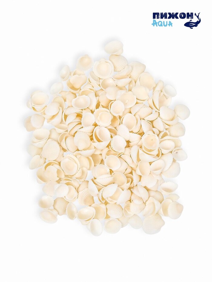 Набор ракушек декоративных 1.5-3 см, 100 г