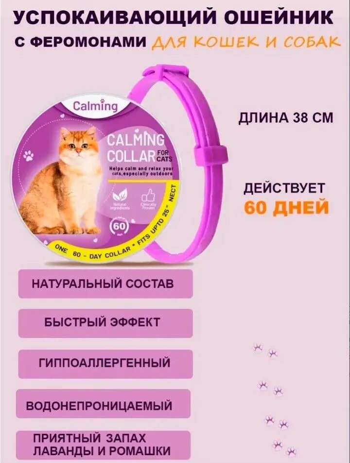 Ошейник успокаивающий для кошек с феромонами и эфирными маслами фиолетовый