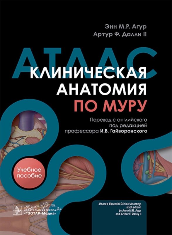 Клиническая анатомия по Муру: Учебное пособие, атлас (Агур Э. М. Р, Далли А. Ф. (II)