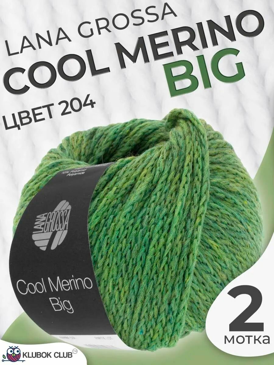 Пряжа для вязания Lana Grossa Cool Merino Big шнурок, цвет 204, 2 мотка