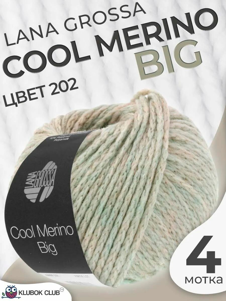 Пряжа для вязания Lana Grossa Cool Merino Big шнурок, цвет 202, 4 мотка