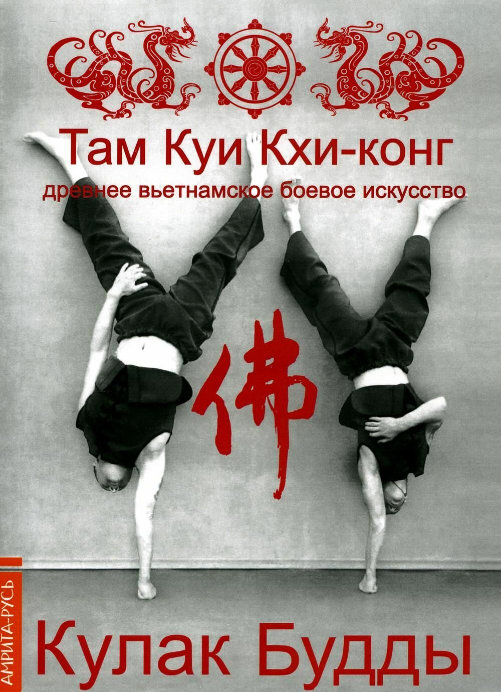 Кулак Будды. 3-е изд. Древнее вьетнамское боевое искусство. Там Куи Кхи-конг. 3-е изд. Тхиен З.