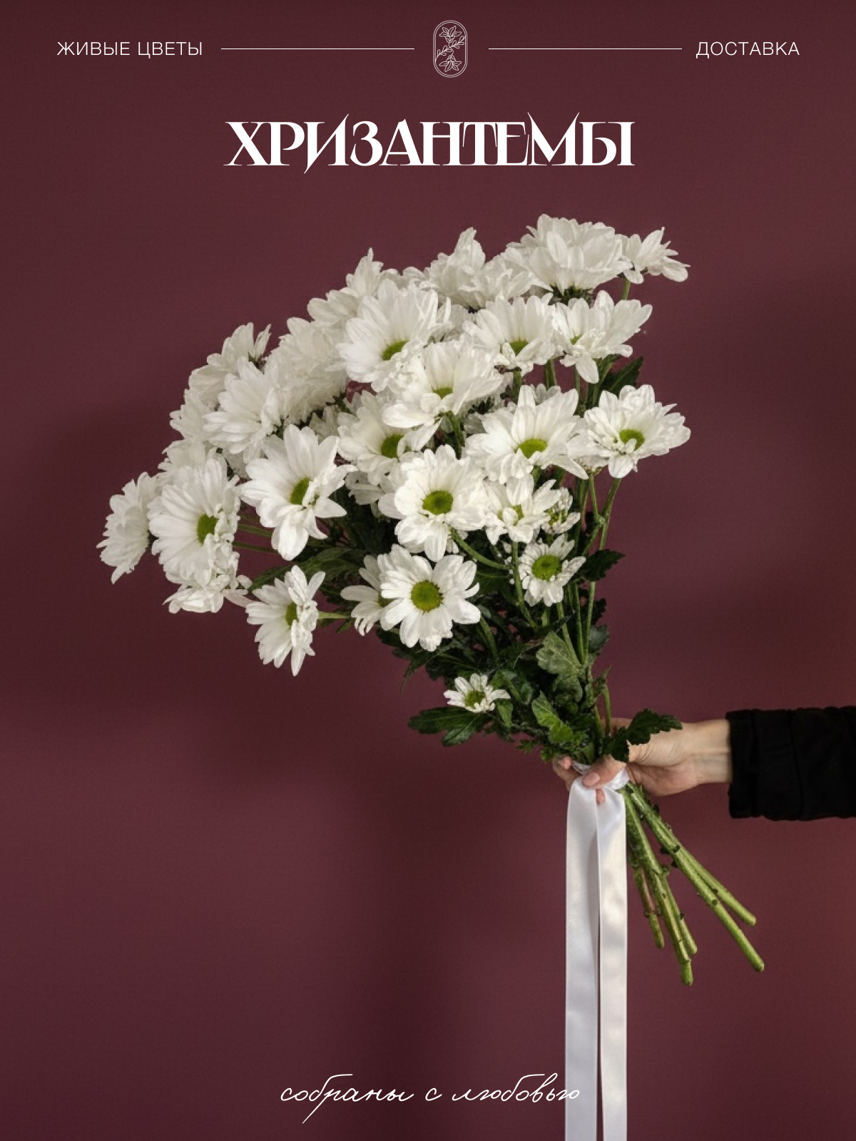 Букет живых цветов из 5 кустовых хризантем