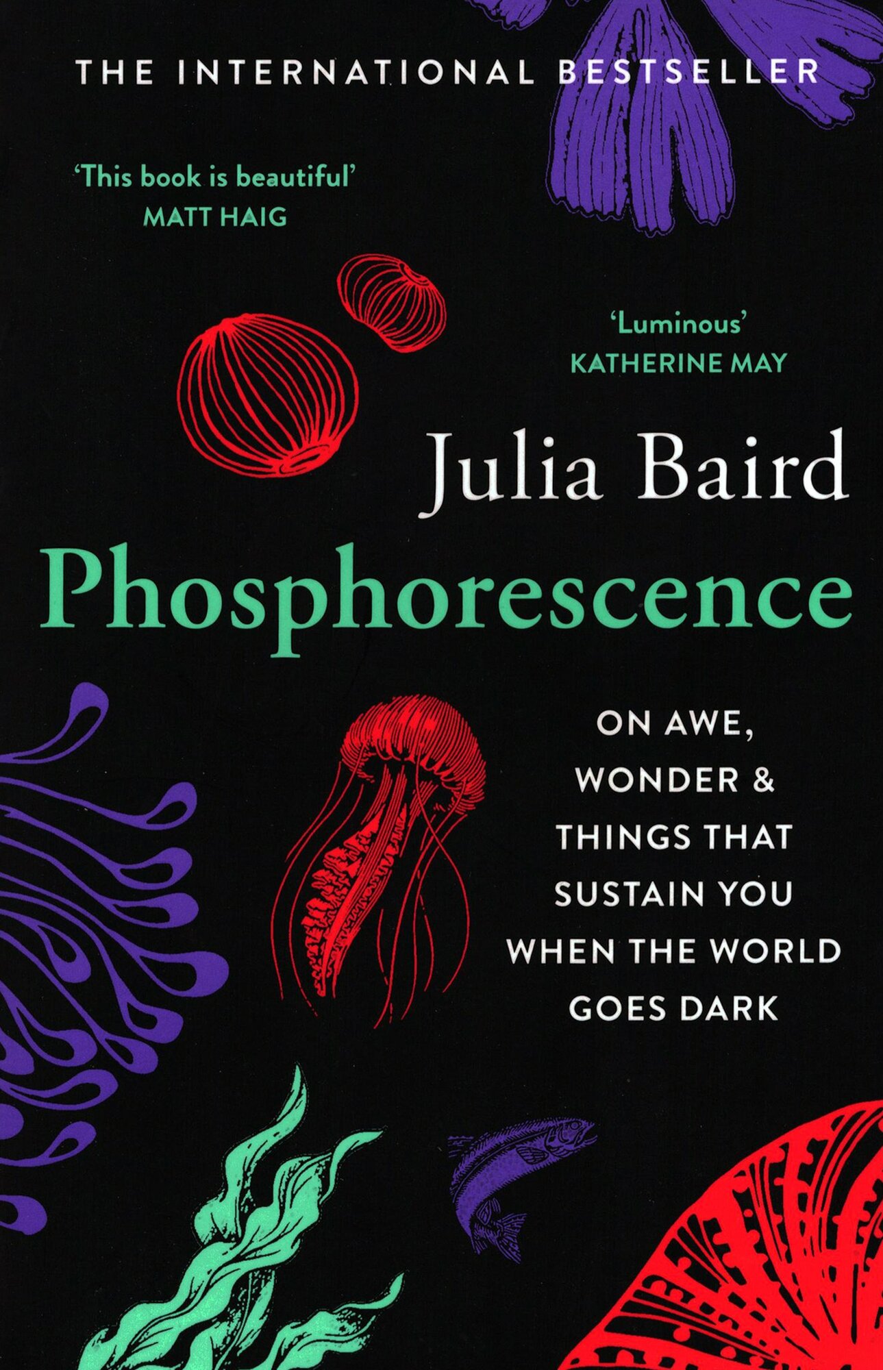 Phosphorescence. On Awe, Wonder & Things That Sustain You When the World Goes Dark / Книга на Английском