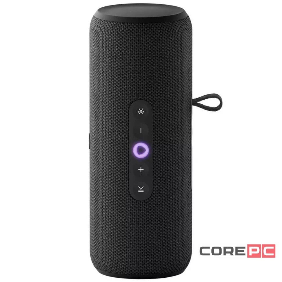 Умная колонка Яндекс. Станция Стрит с Алисой (YNDX-00030) (Черный)