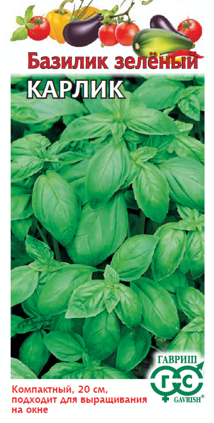 Семена пряных трав Гавриш базилик Карлик зеленый, для дачи, сада, огорода и на рассаду