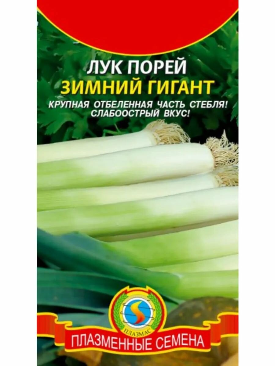 Лук Порей Зимний гигант 0,5 г, Плазменные семена