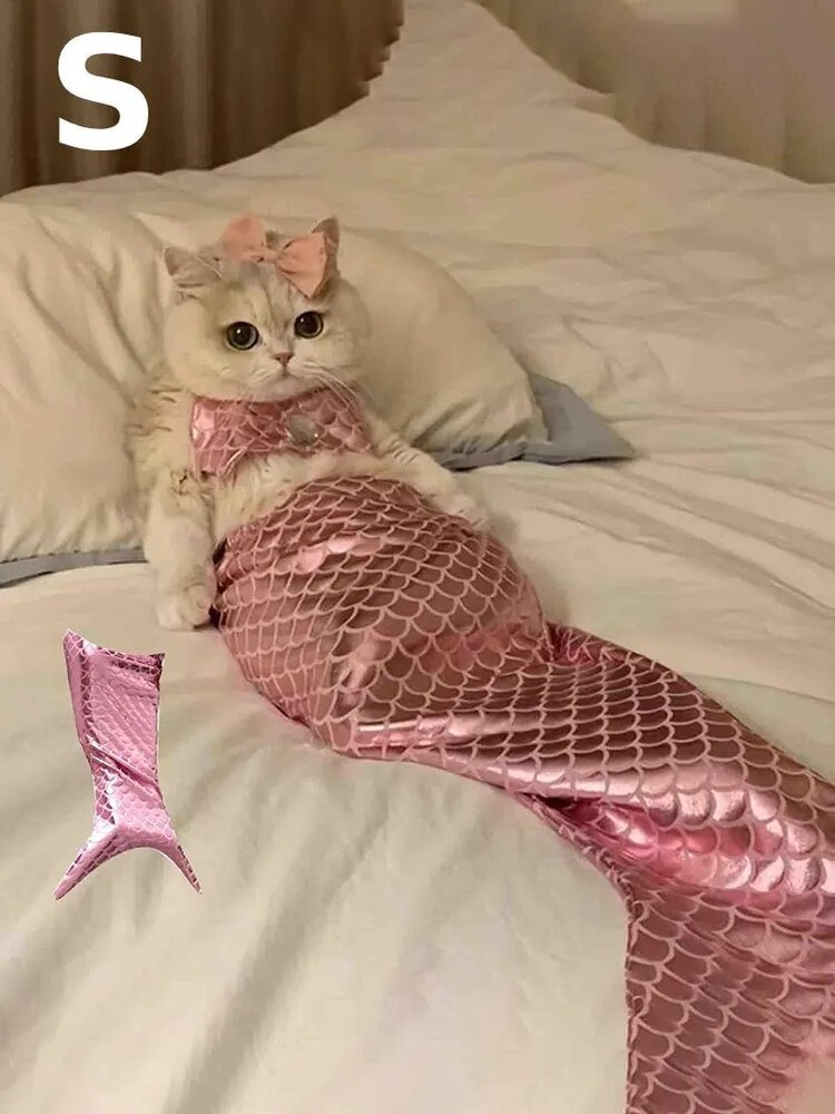 Костюм Для Кота Смешной