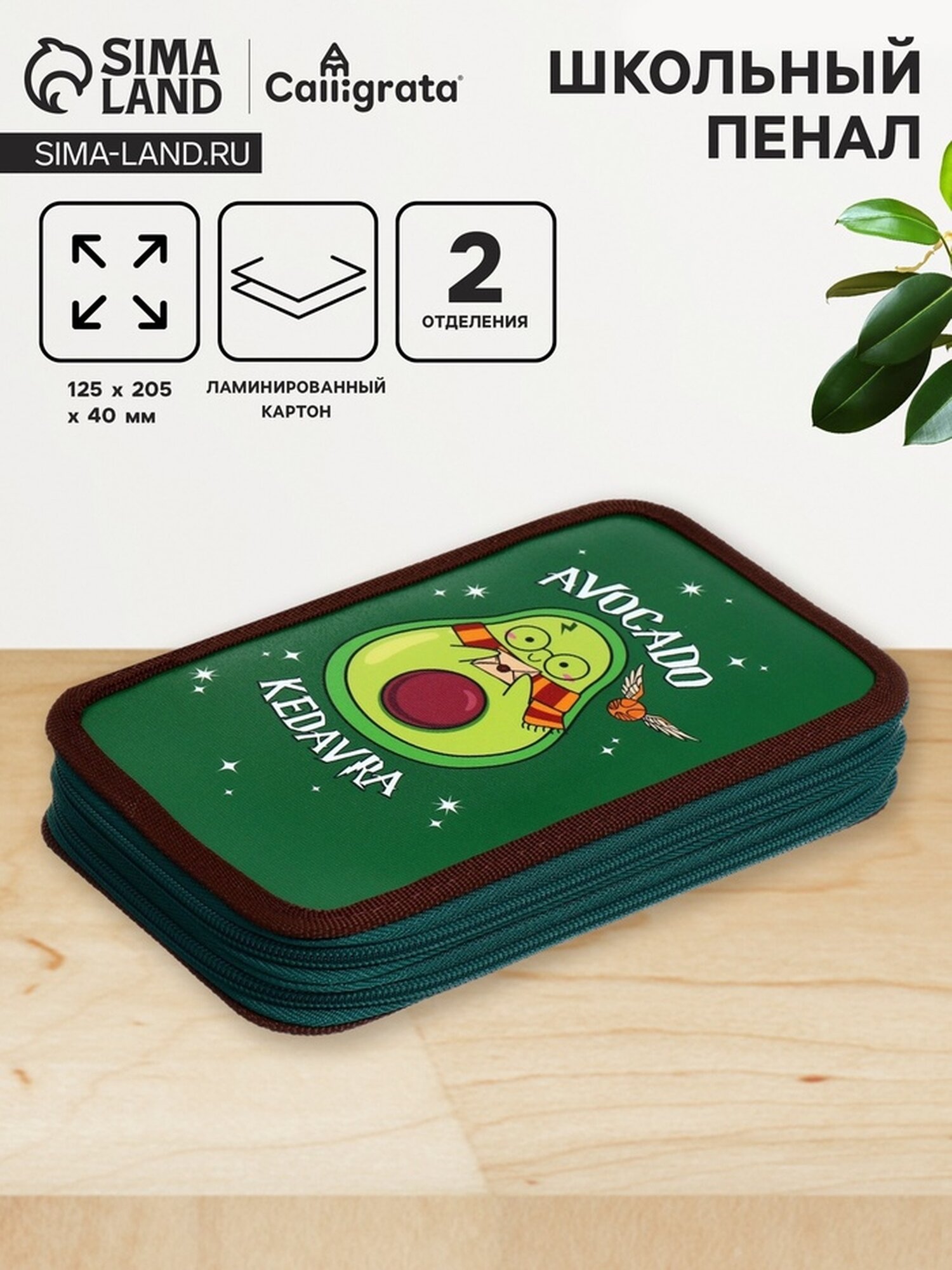 Пенал школьный, 2 секции, 12.5 × 20.5 × 4 см,«Авокадо кедавра», для детей
