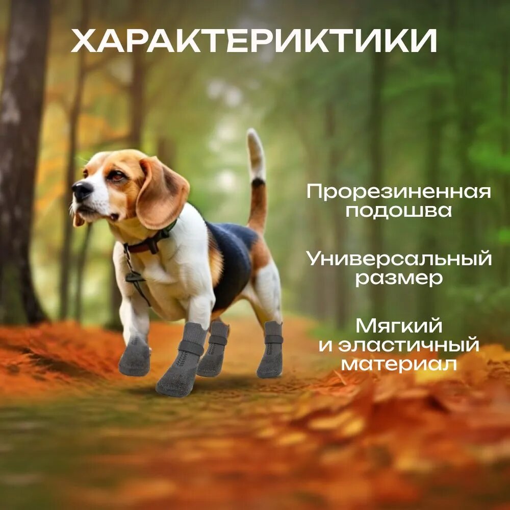 Обувь для собак — фото 1