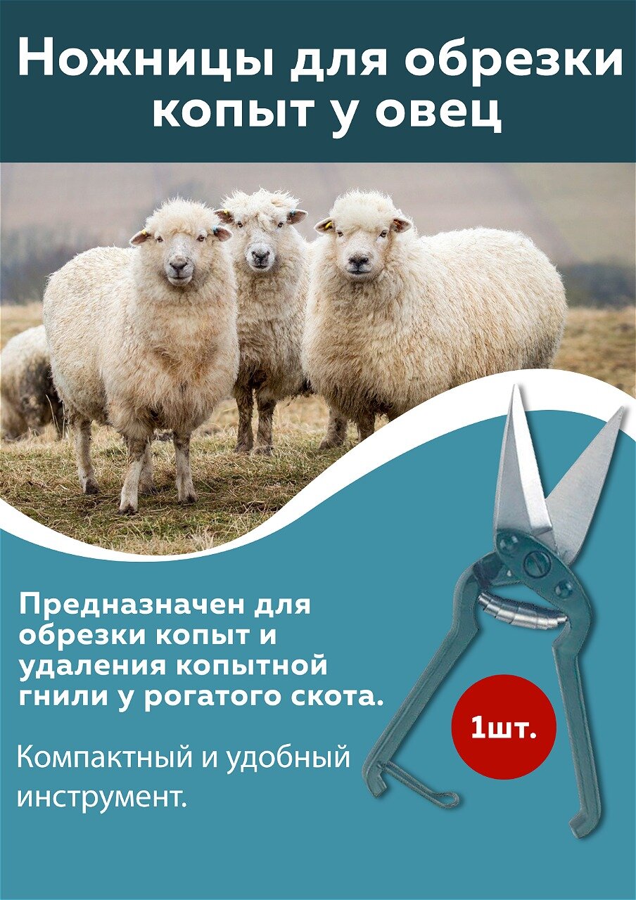 Ножницы для обрезки копыт у овец 1 шт