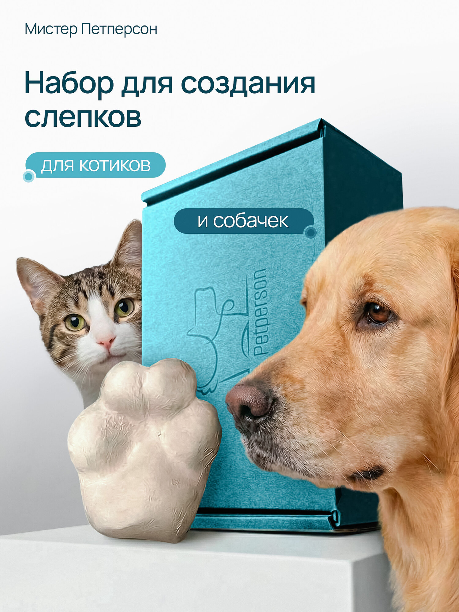 Набор для слепка лапы