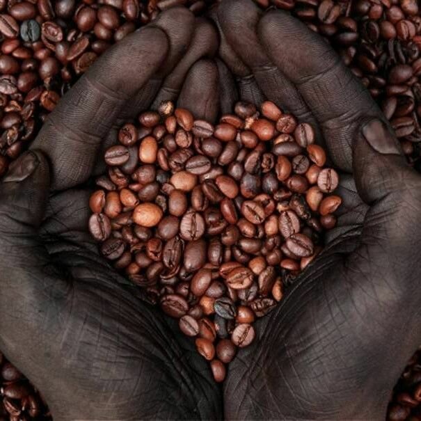 Зерновой кофе Эфиопия Йергачеф (50 гр) Регион: Йиргачеффе. Плантационная арабика средней обжарки