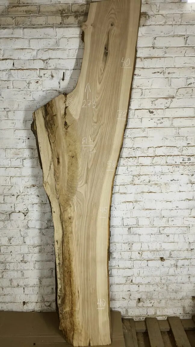 Слэб дерева Ясень Я4, выровнен в плоскости, влажность 10-11%