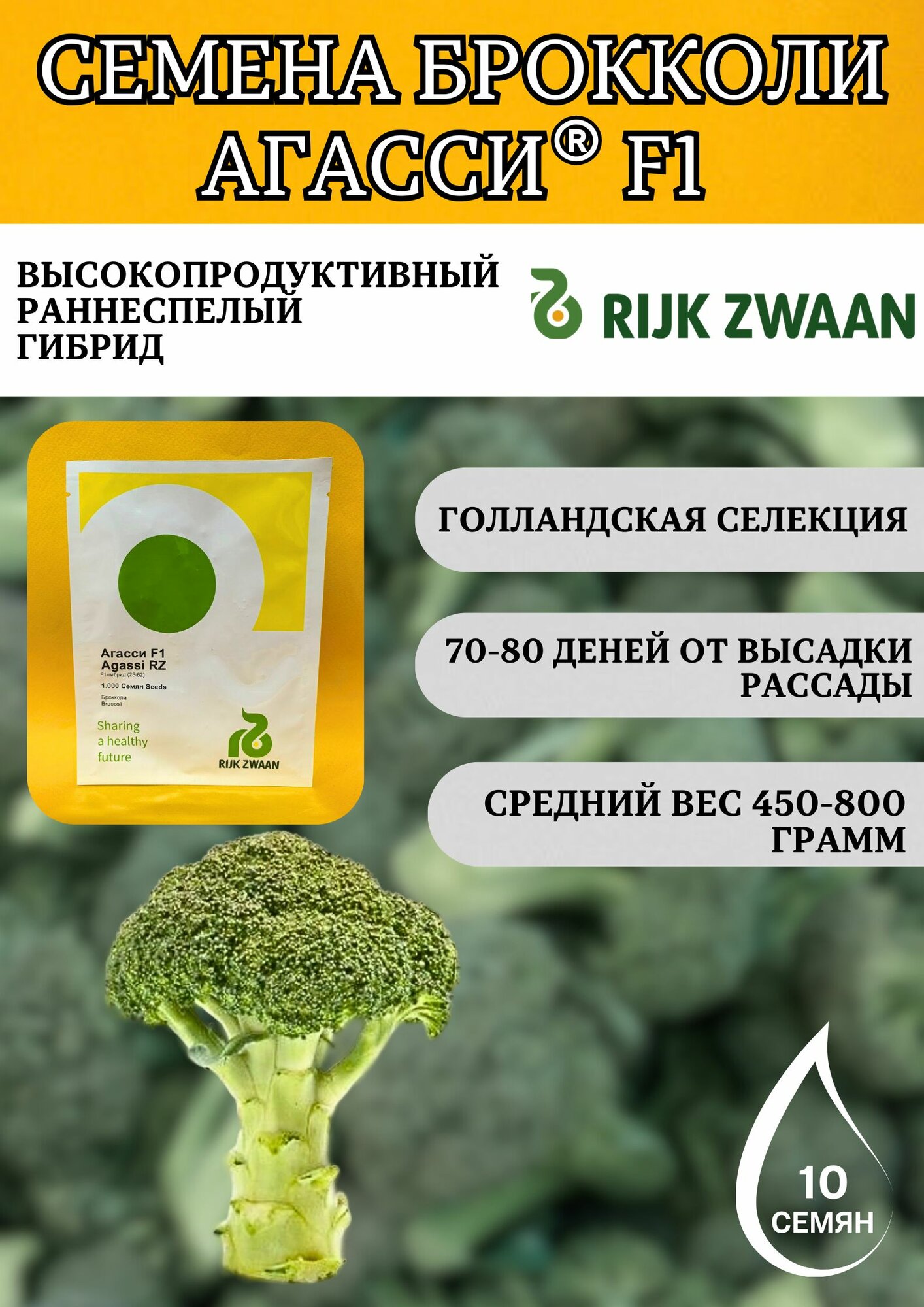 Семена брокколи Агасси F1 10 штук Rijk Zwaan, профессиональные семена