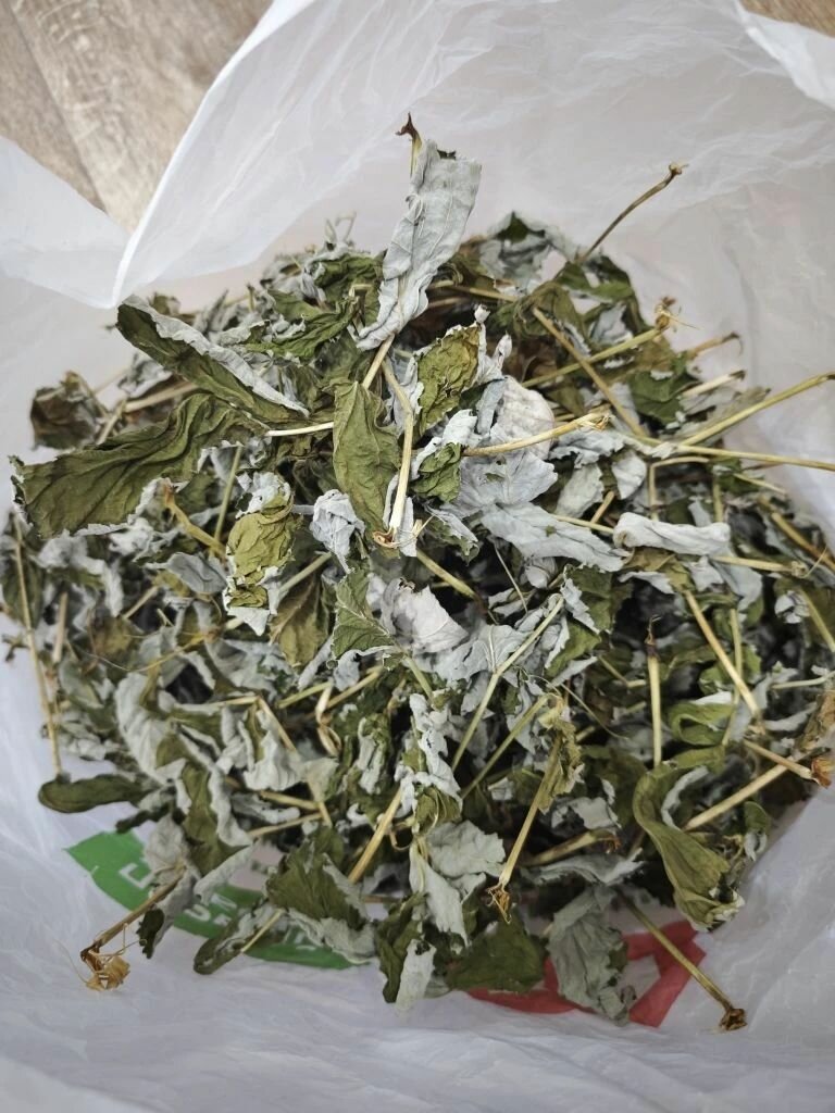 Запарка для бани Малина