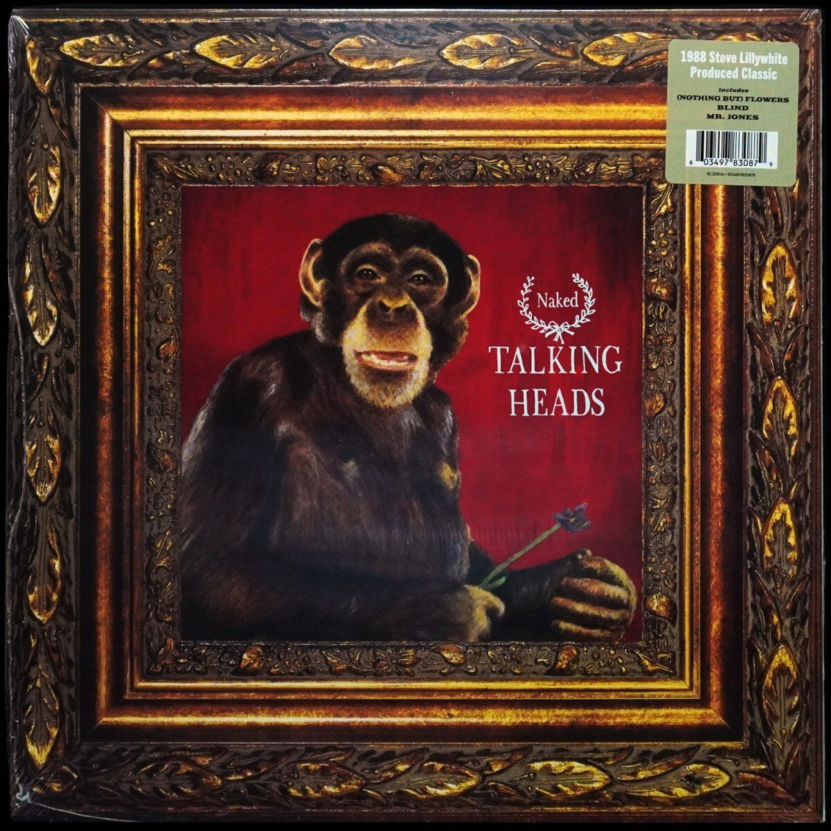 Виниловая пластинка Sire Talking Heads – Naked