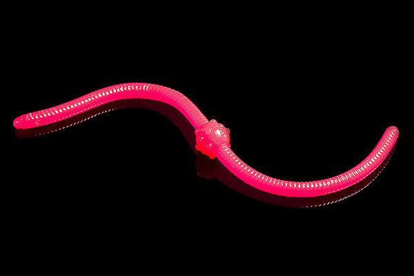 Силиконовые приманки для рыбалки Jara Baits Trout Series JUM-JUM-100 Сыр # 26 UV (15шт), в банке