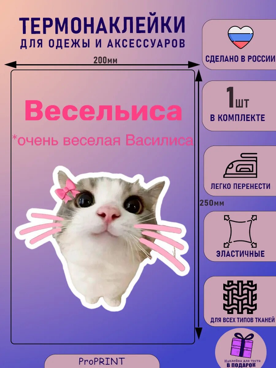 Термонаклейка на одежду