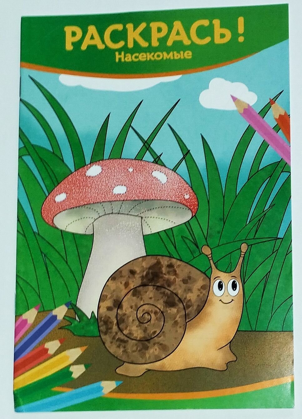 Раскрась! Насекомые
