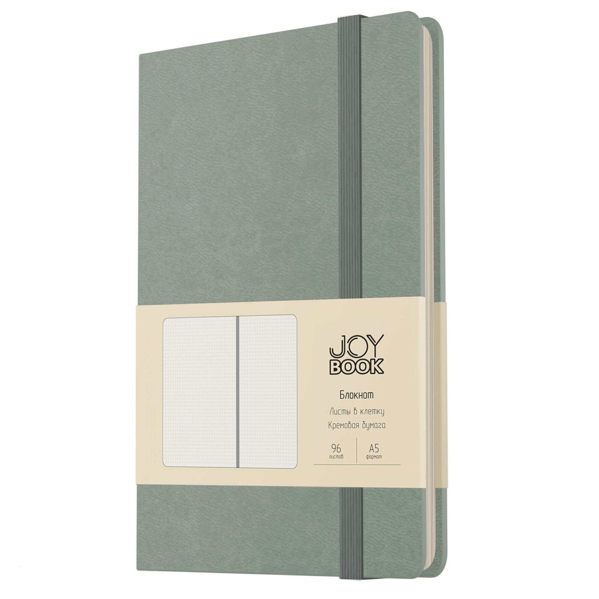 Книга для записей в клетку "Joy Book. Мятное мороженое", А5, 96 листов