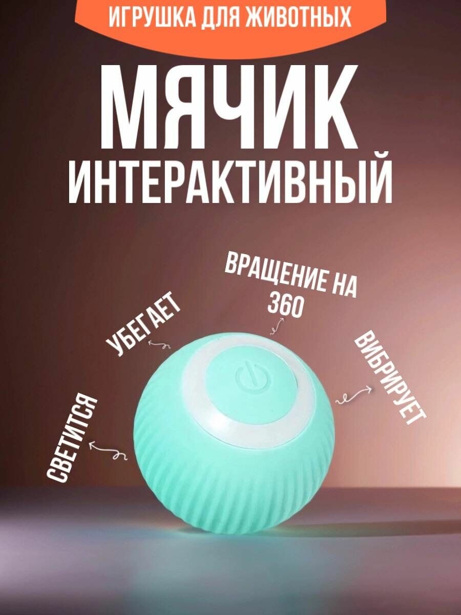 Интерактивный автоматический мяч для кошек с USB зарядкой, для самостоятельной игры и развлечения