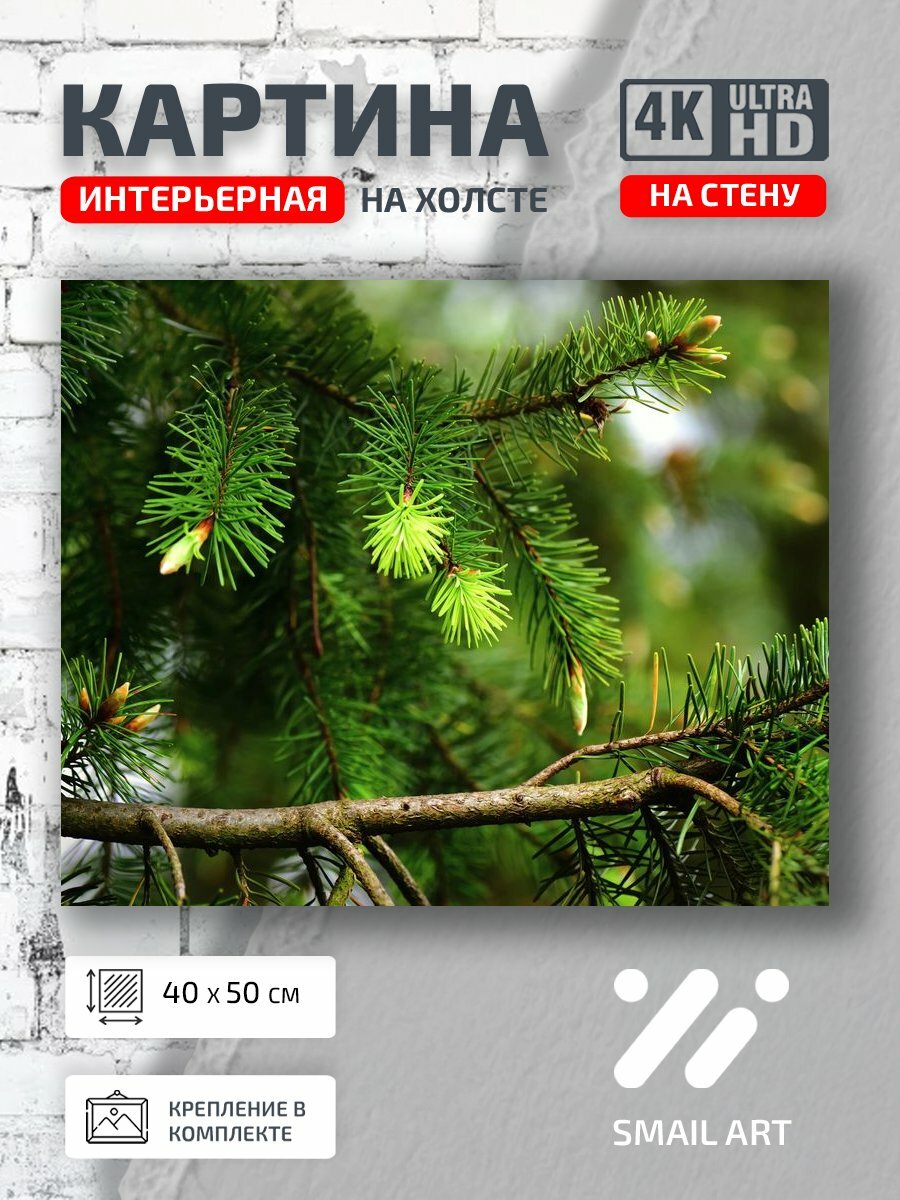 Картина на холсте интерьерная 40 на 50 на стену Хвоя Landscape для кабинета пейзаж интерьер