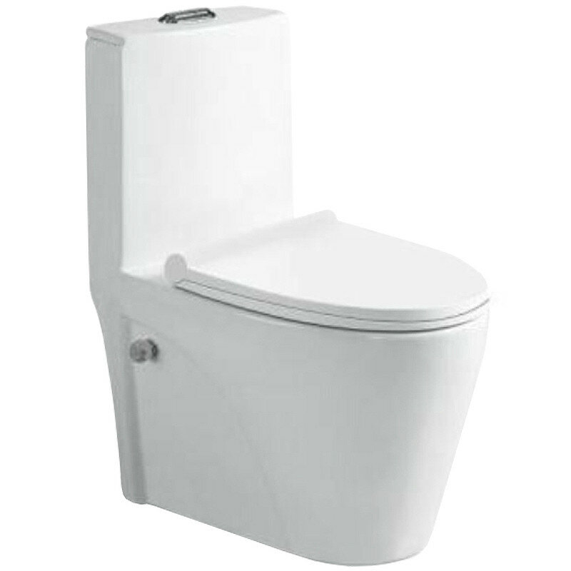 Унитаз биде SantiLine SL-5012SM-BD с сиденьем Микролифт фаянс напольный