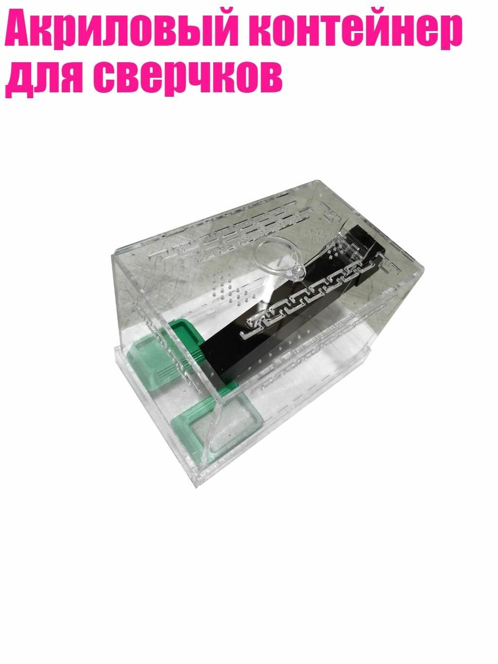 Акриловый контейнер для сверчков