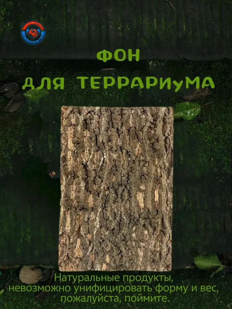 Фон пробковый для террариума и аквариума, декоративная панель с текстурой коры, фон для бородатых драконов, гекконов, змей, ящериц, легко режется, 30x40 см