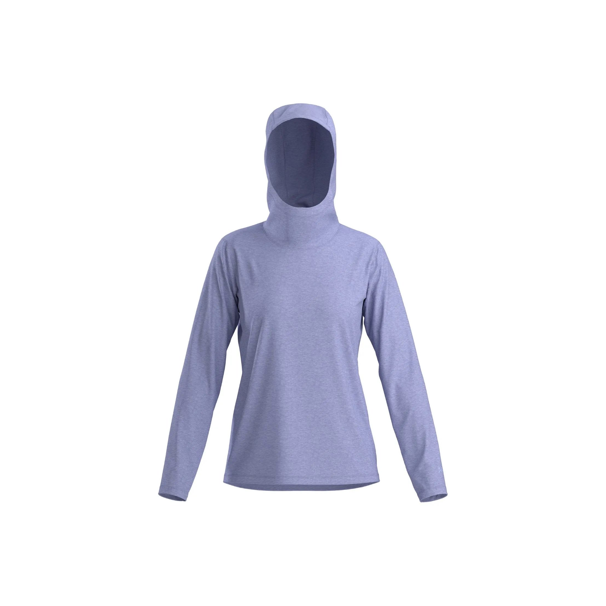 Свитшот Arc'teryx