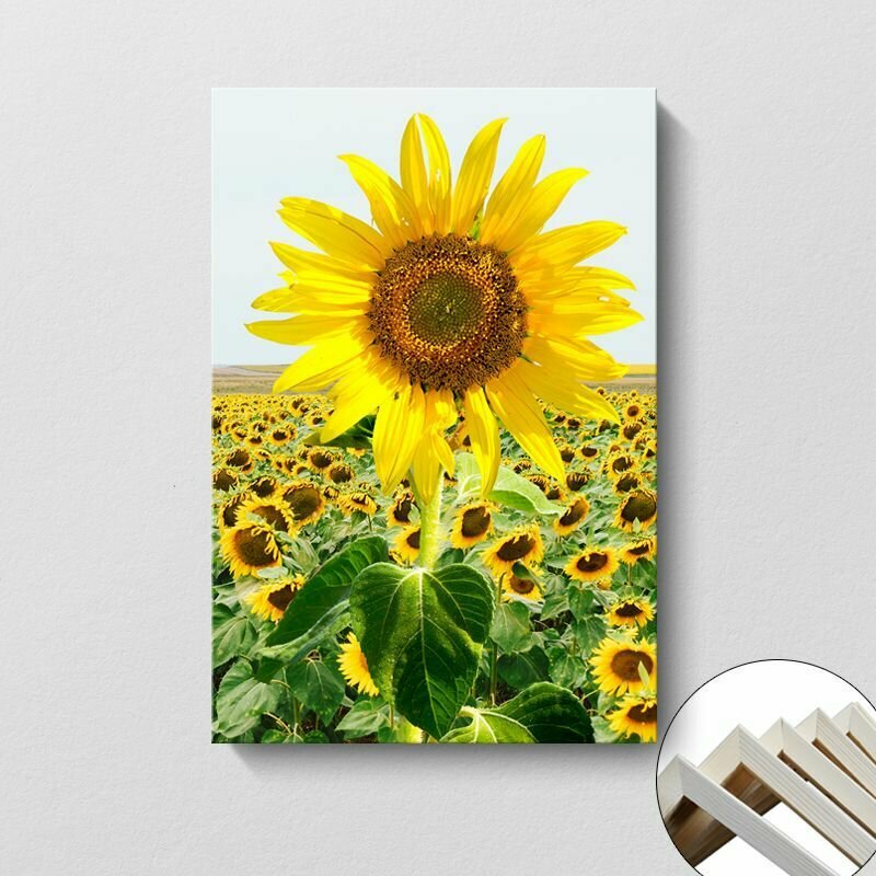 Корейский стиль декоративная картина подсолнуха Xiangyang цветочный пейзаж гостиная столовая подвесная картина