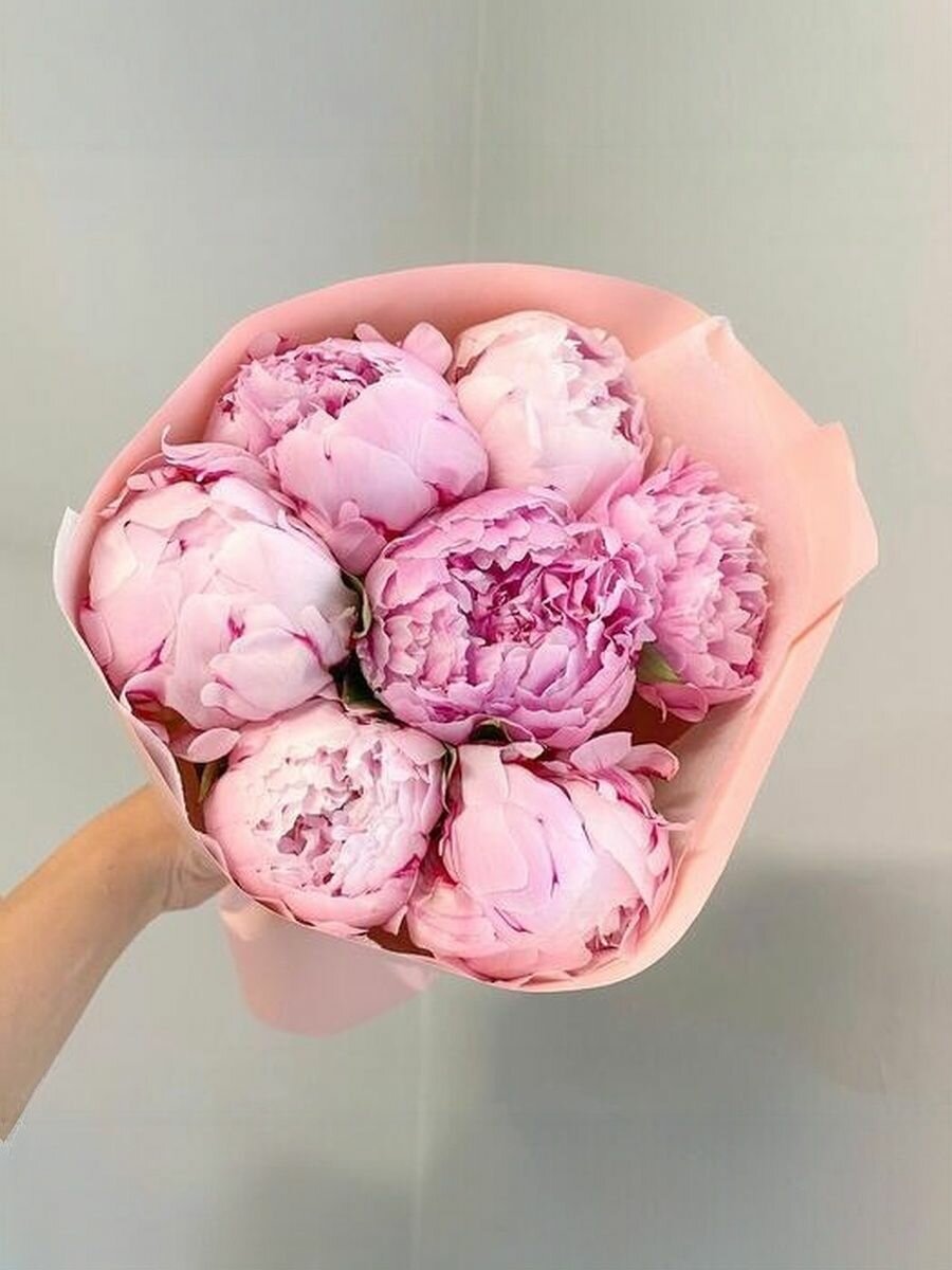 Розовые ароматные пионы