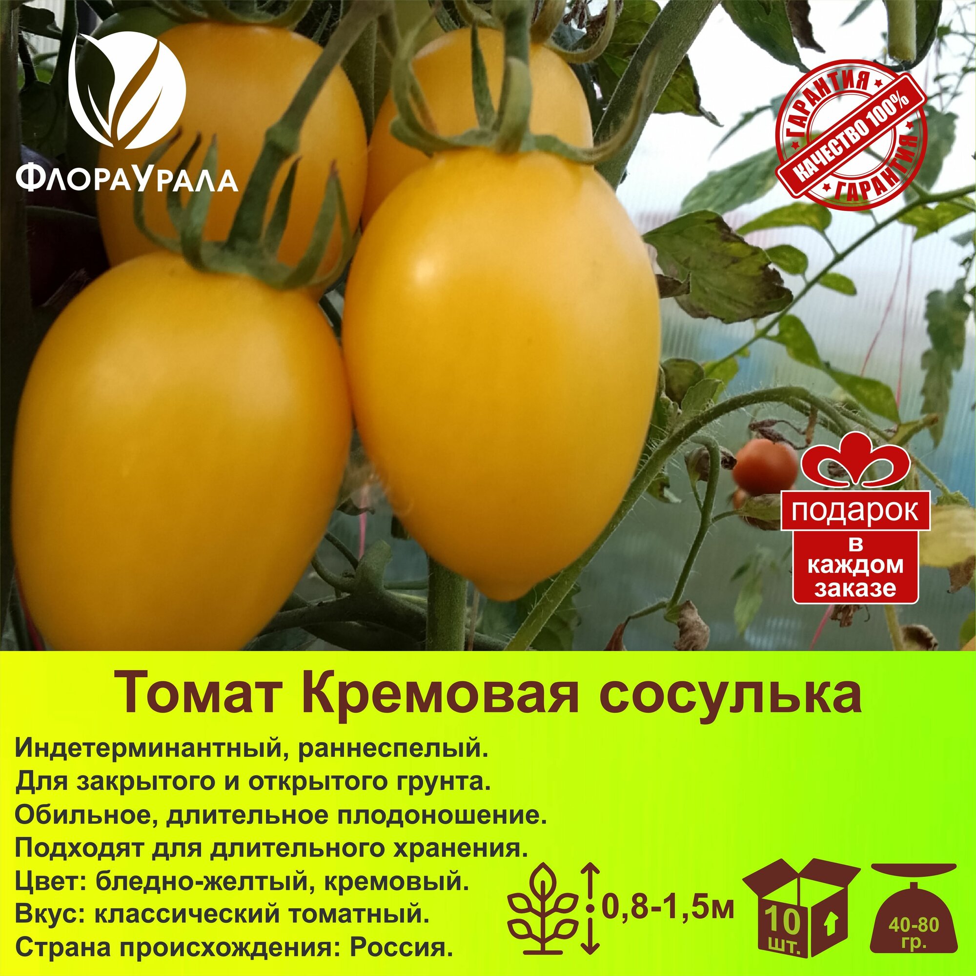 Семена томата Кремовая сосулька, коллекционный сорт (семена из частной коллекции), 10 шт+ 1 сорт в подарок