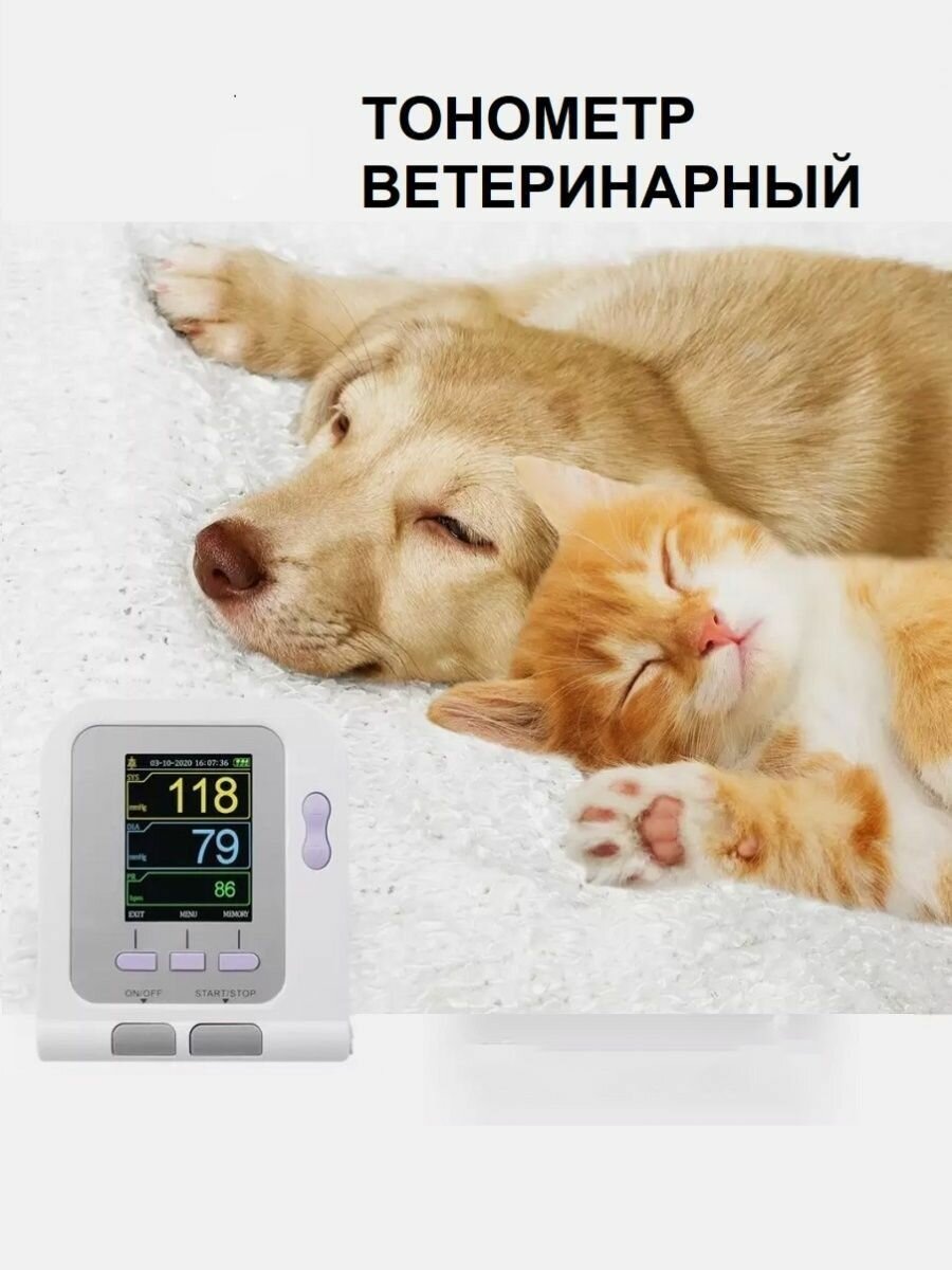 Тонометр Ветеринарный Для Кошек