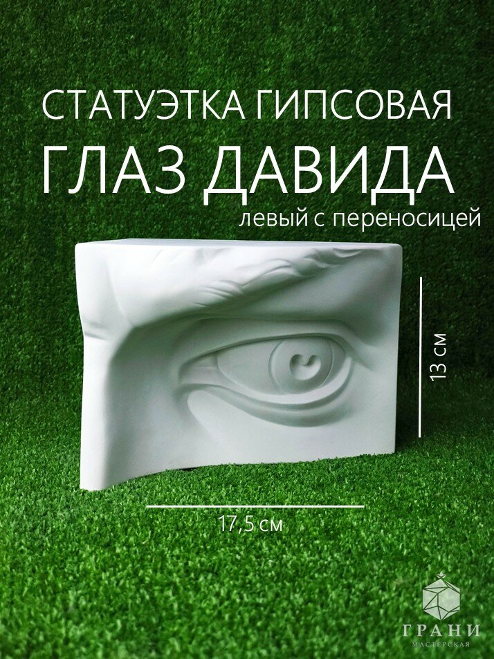 Гипсовая статуэтка "Глаз Давида левый с переносицей", 13х18, учебное пособие для художников, Мастерская "грани"