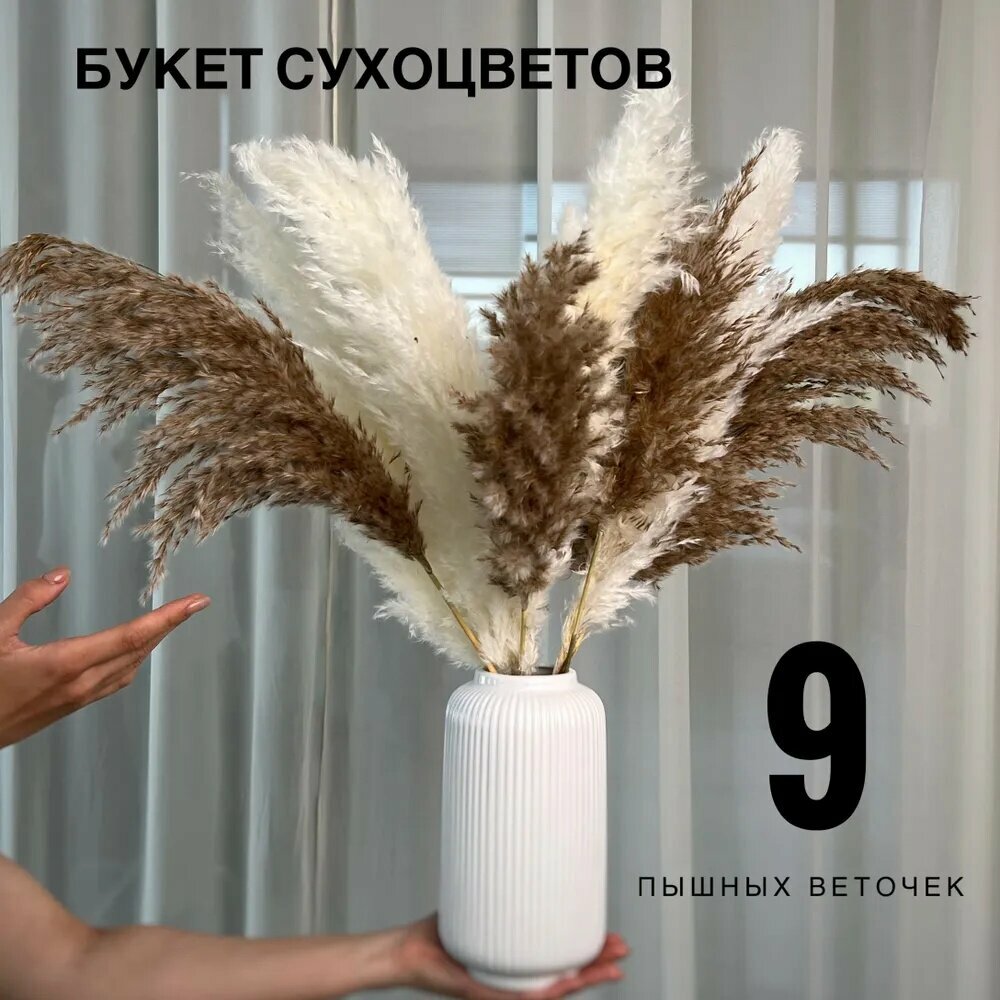 Сухоцветы Пампасная трава, Сухоцвет, 60 см, 100 гр, 9 шт