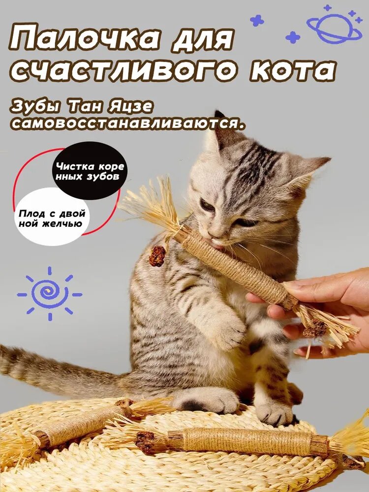 Жевательная палочка для кошек, предназначенная для чистки полости рта и зубов