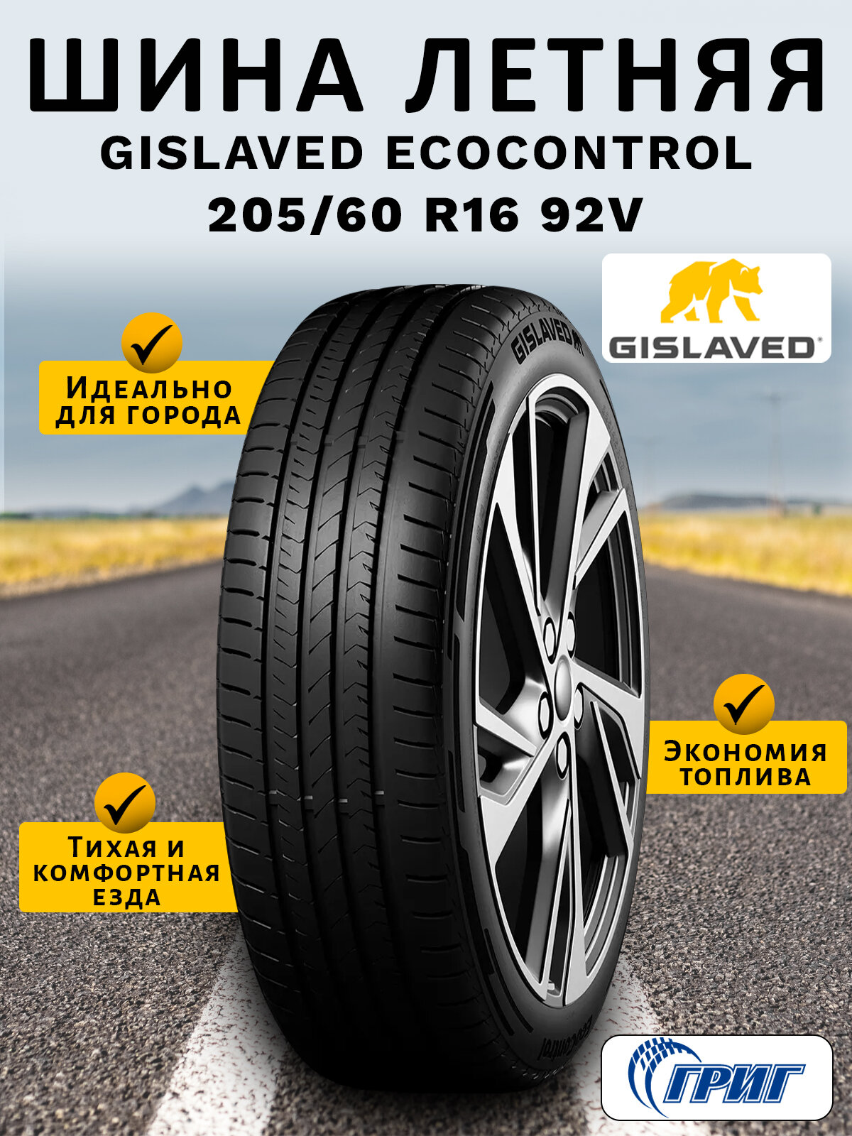 Летние шины Gislaved "EcoControl", бескамерные, 205/60, R16, 92V