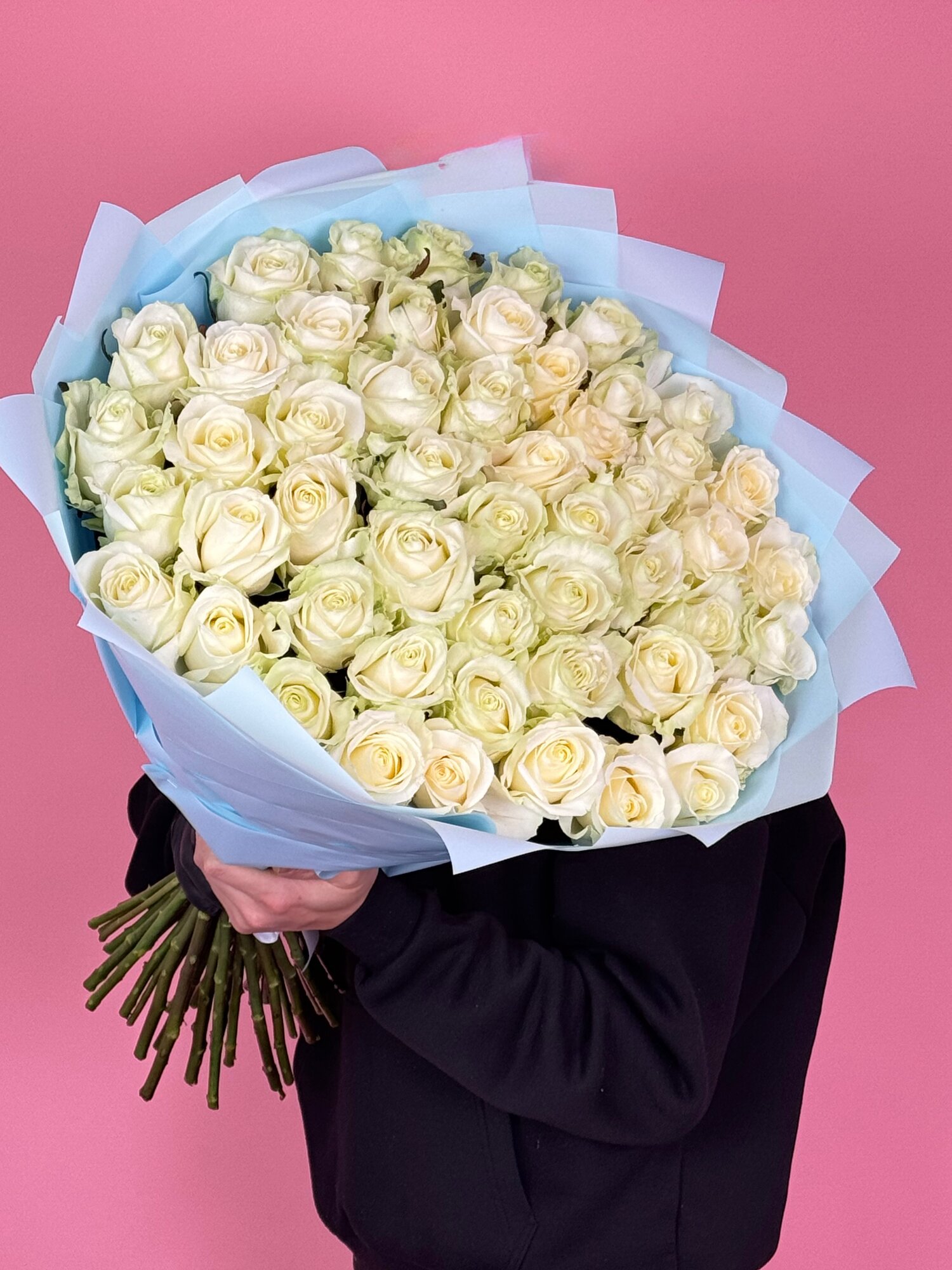 Монобукет из 51 белой розы Аваланш в подарочной упаковке с доставкой до двери