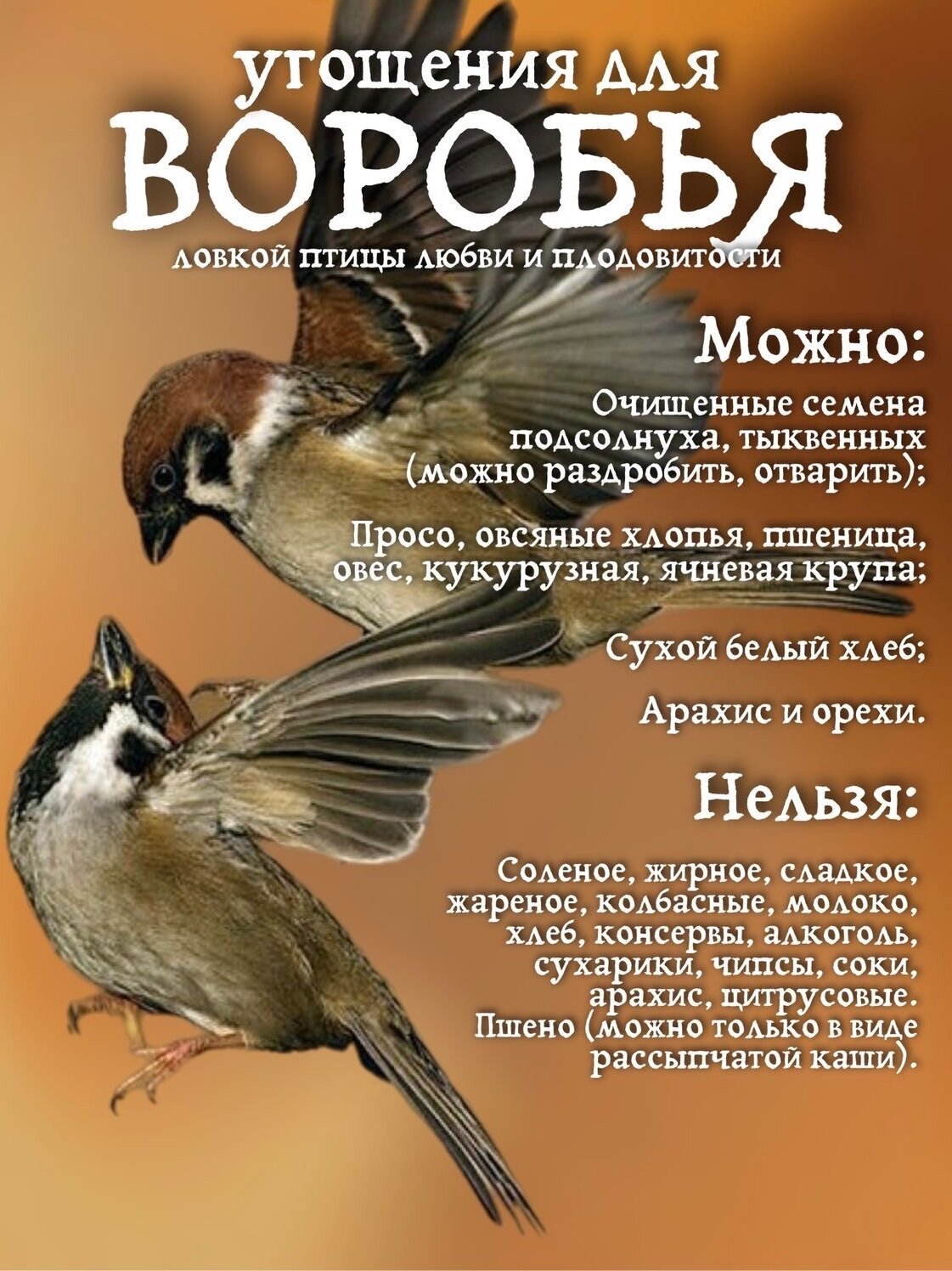 Корм для воробьев 1 кг.