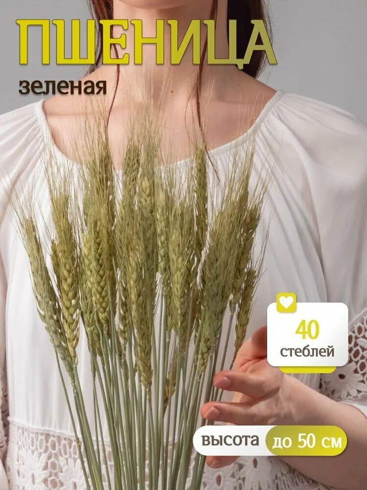 Сухоцветы Пшеница, 50 см, 80 гр