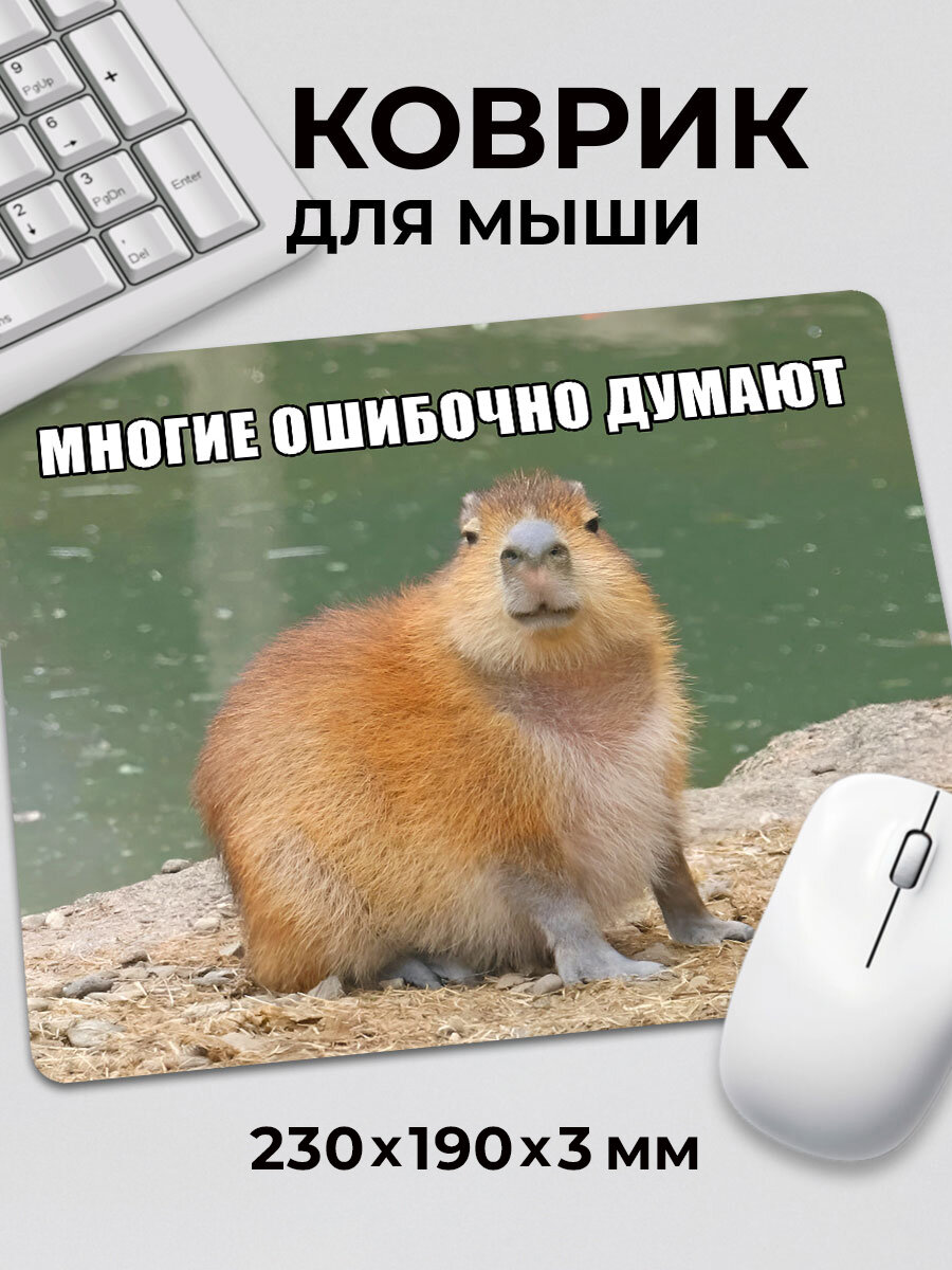 Коврик для мышки с приколом мем Капибара многие ошибочно думают