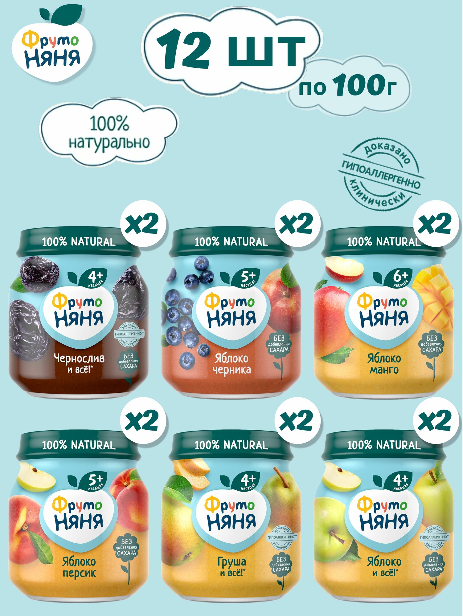 Пюре фруктовое ФрутоНяня, набор 12 шт, 100 г, с 6 месяцев, 6 вкусов, без добавления сахара
