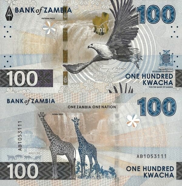 Замбия 100 квача 2024 Дерево баобаб UNC