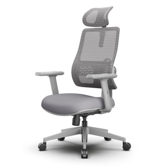 Кресло руководителя Foxgear NETZ One, DGBK, серый