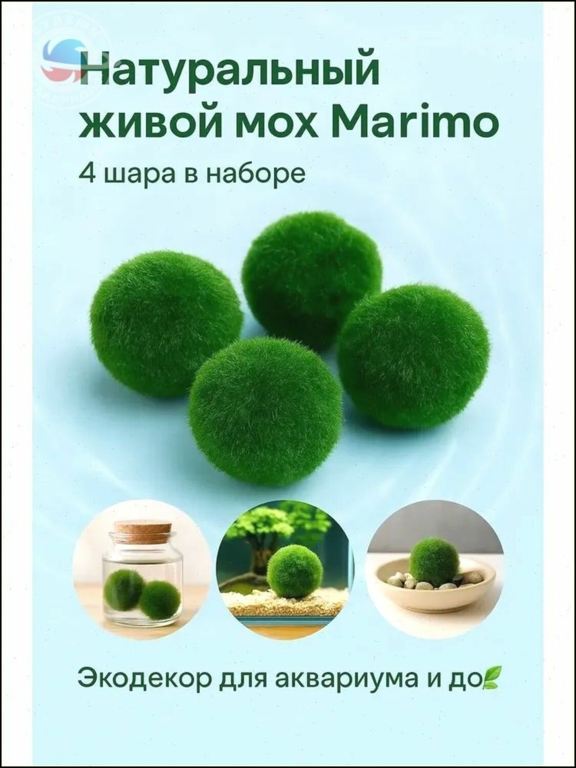 Кладофора шаровидная мох маримо (Aegagropila linnaei) 1см 4шт.