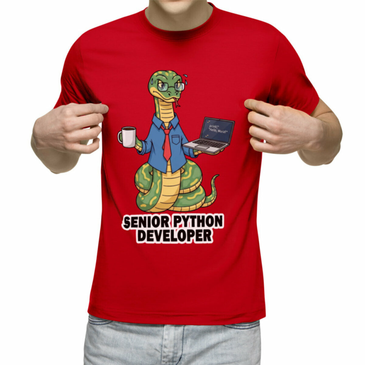 Мужская футболка «Senior Python Developer. Питон программист» (красный, L)
